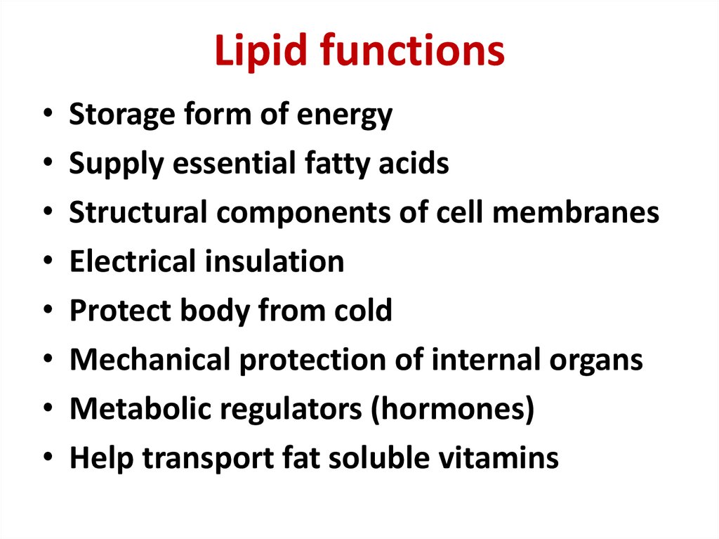 Lipid Metabolism 
