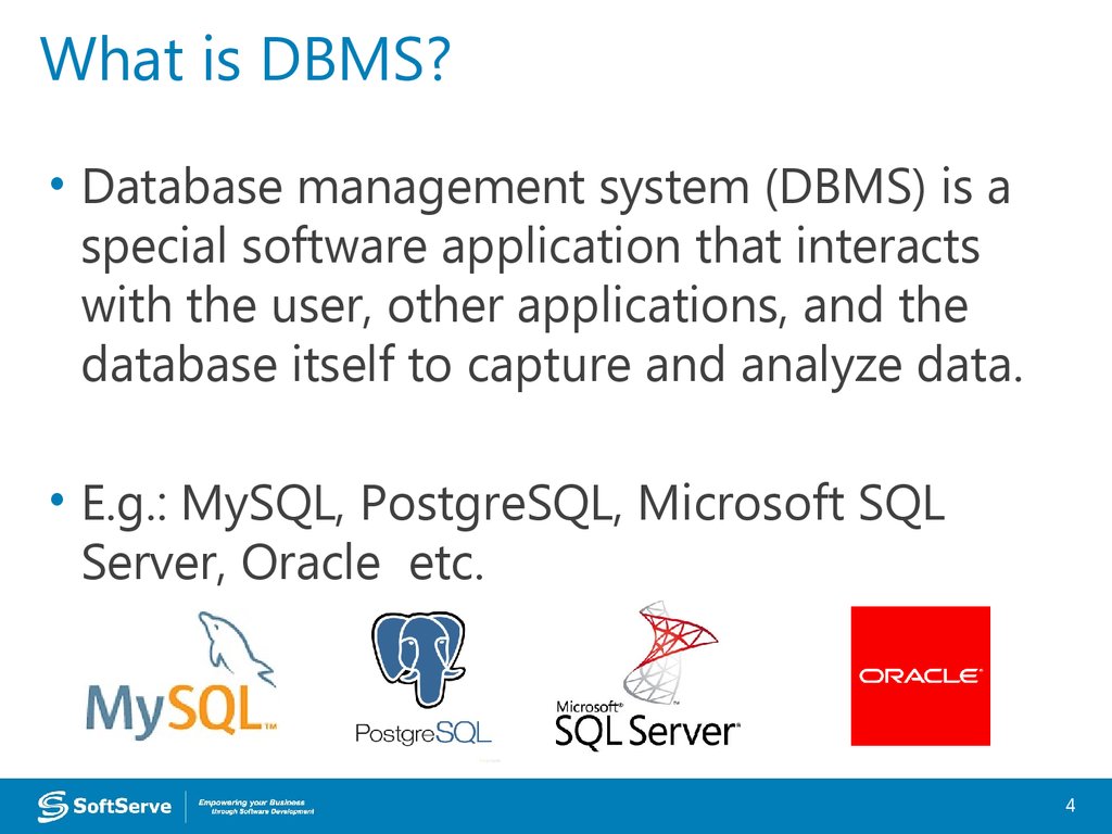 Database Overview 
