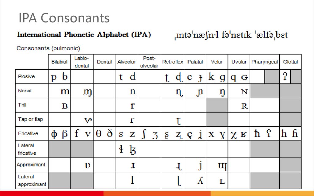 English Consonants In Ipa International Phonetic Alphabet Phonetic 