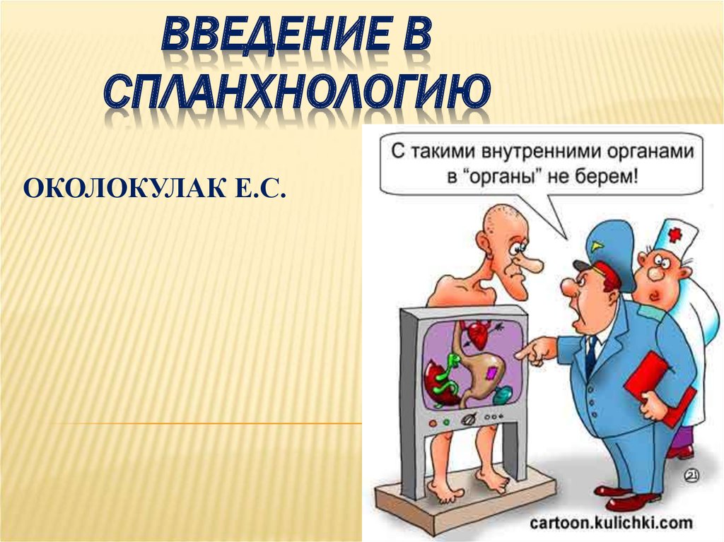 Введение в спланхнологию - презентация онлайн