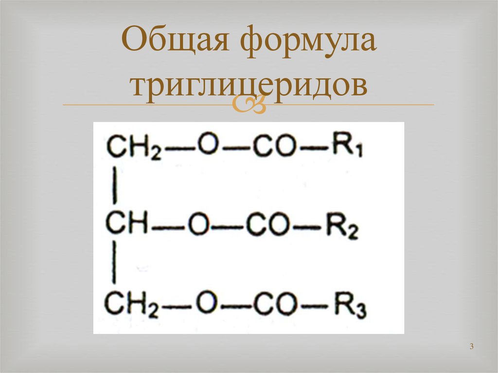 Растительные источники жиров и жирных масел - online presentation