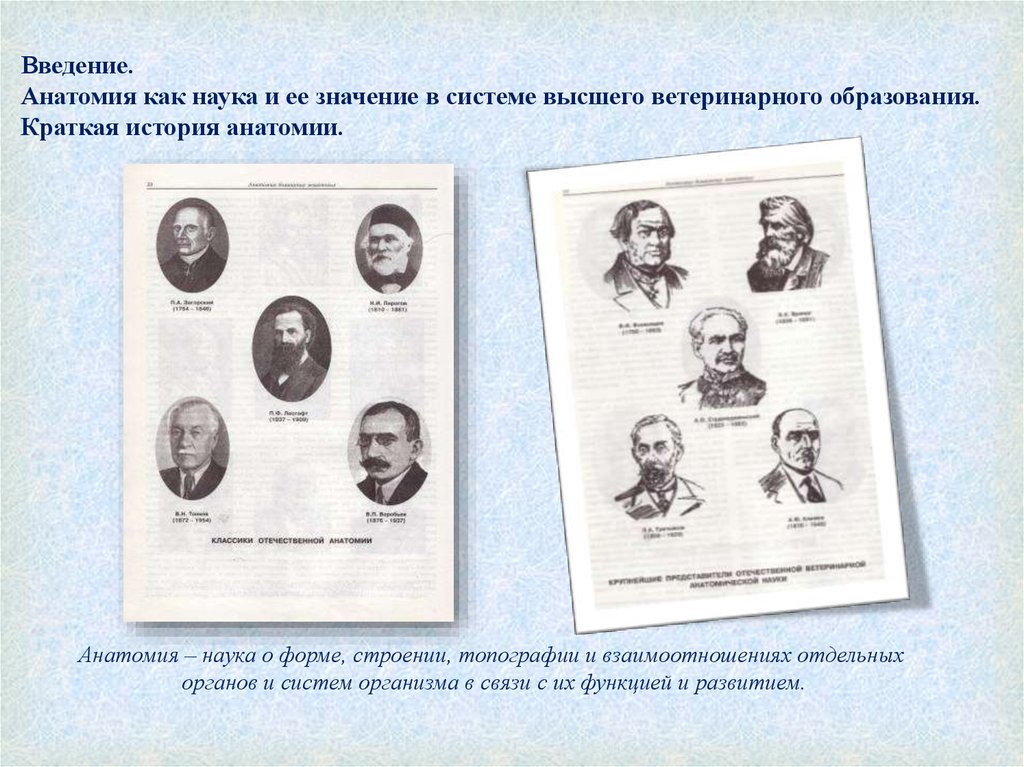 Виртуальная выставка. А.И. Акаевский «Анатомия домашних животных ...