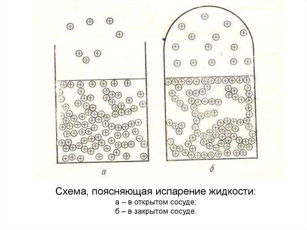 Капиллярное поднятие жидкости - презентация онлайн