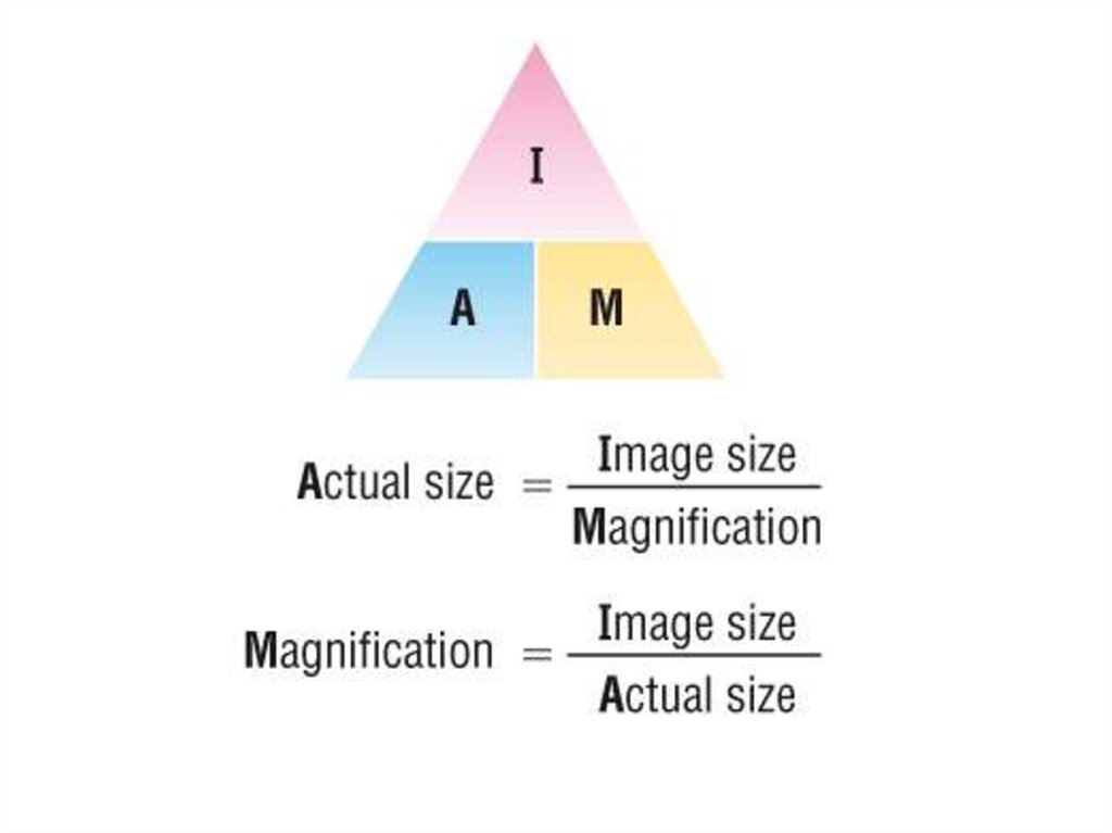 Microscope Measurement Online Presentation