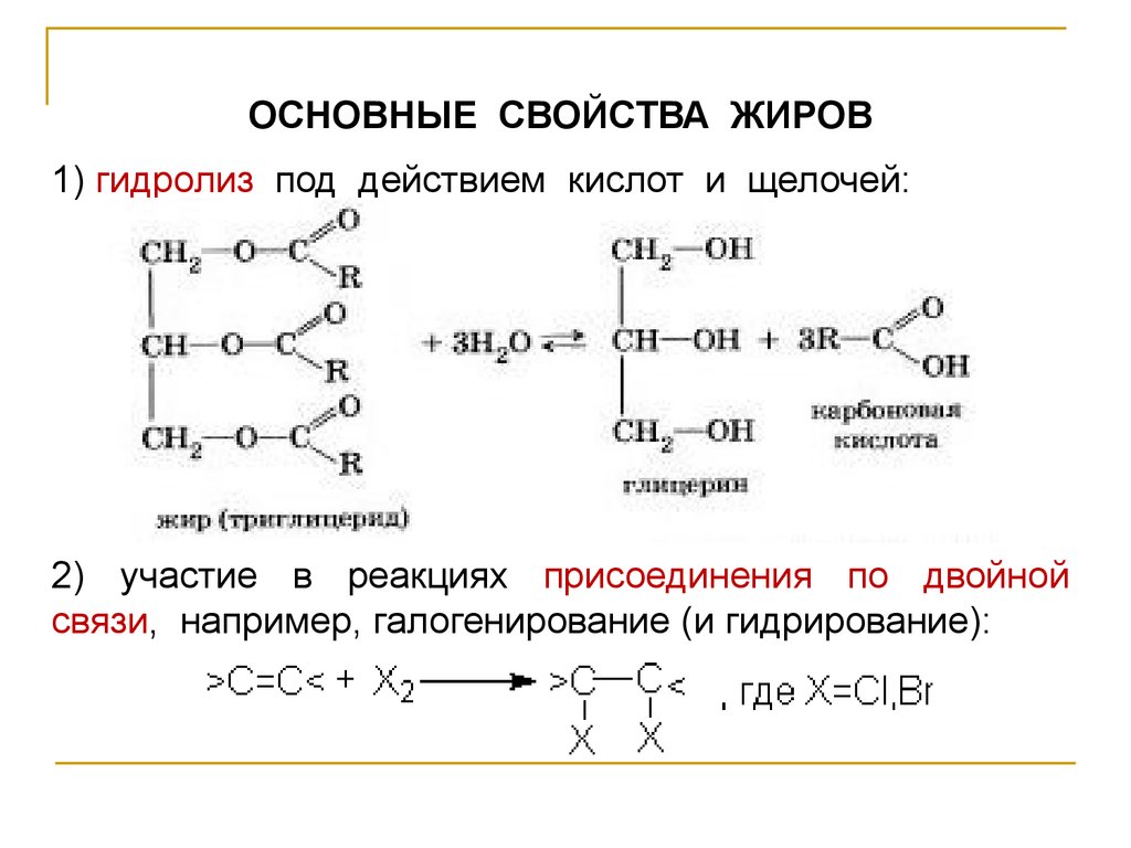 Липиды Общая характеристика и классификация Модуль 4 8