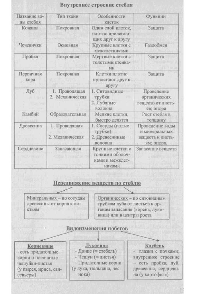 Биология в таблицах и схемах - презентация онлайн