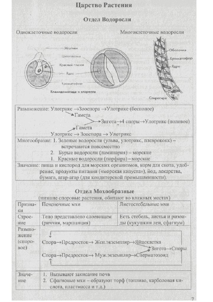 Биология в таблицах и схемах - презентация онлайн