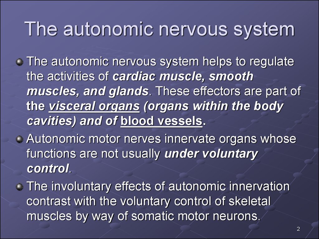 Functions Of Autonomic Nervous System 
