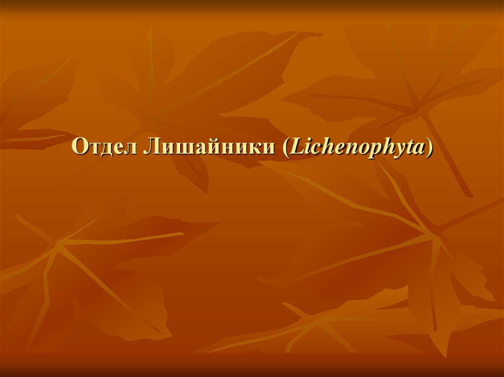 Отдел Лишайники (Lichenophyta) - презентация онлайн