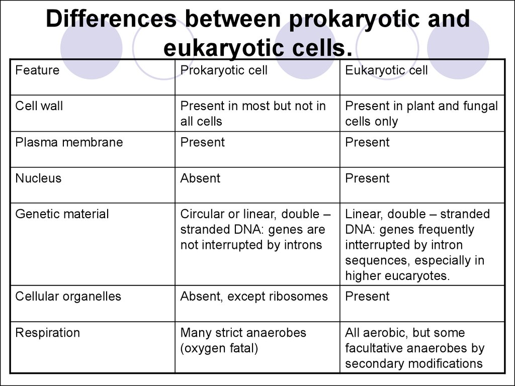 Components Of Prokaryotic Cells Prokaryotic Cells Vs Eukaryotic 