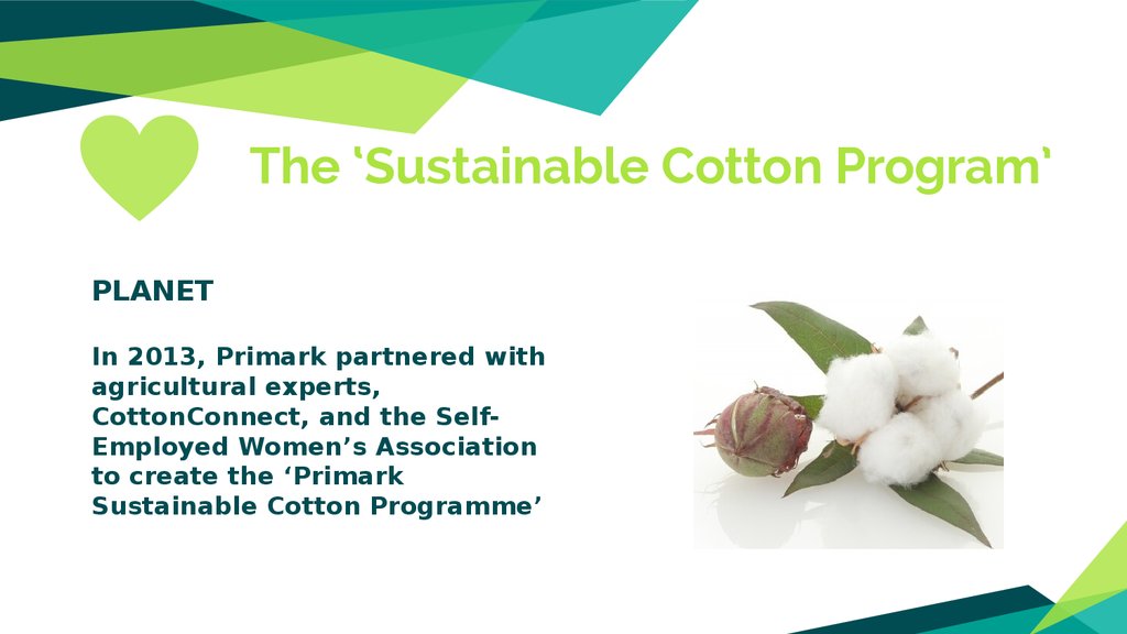 Primark: The Cry For Help - презентация онлайн