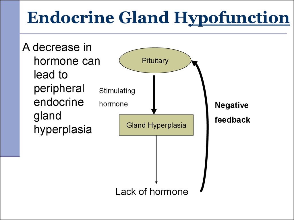 Pathophysiology Of Endocrine System Subject 18 