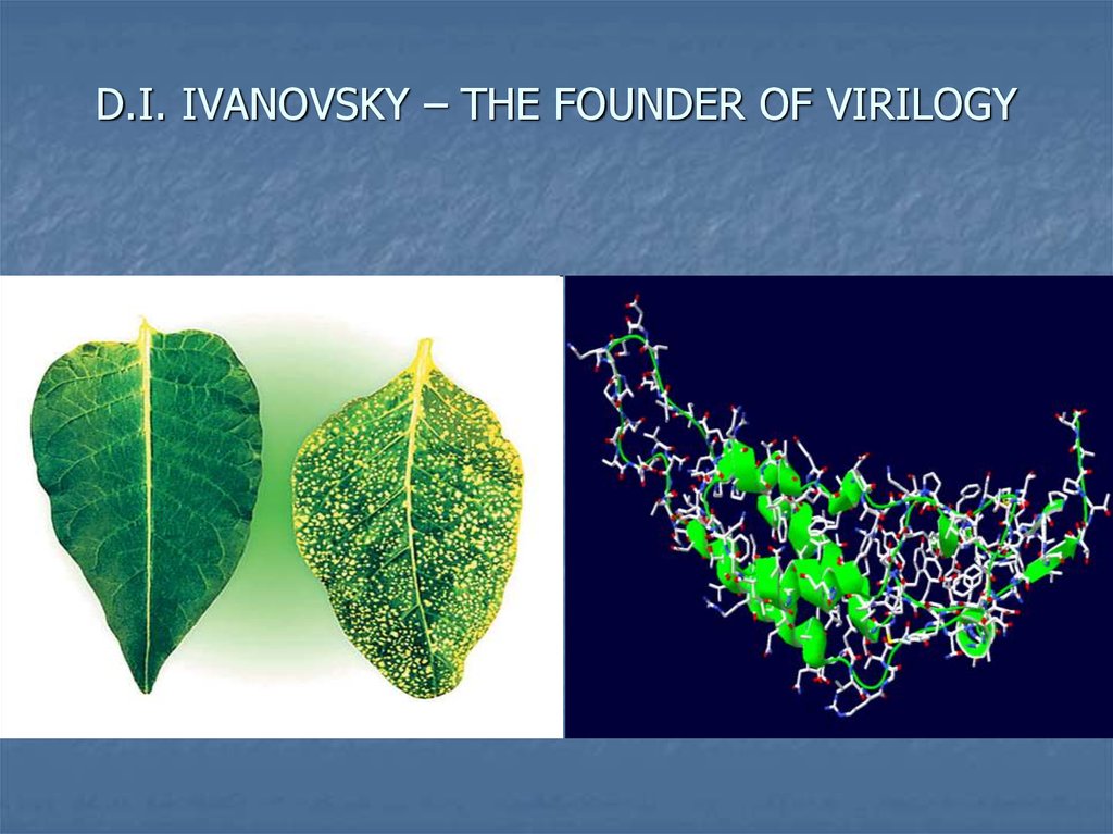 D.I. Ivanovsky - online presentation