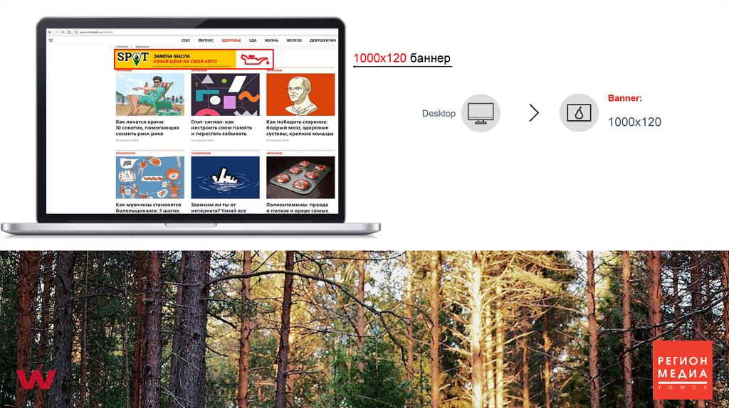 Компания Weborama - online presentation