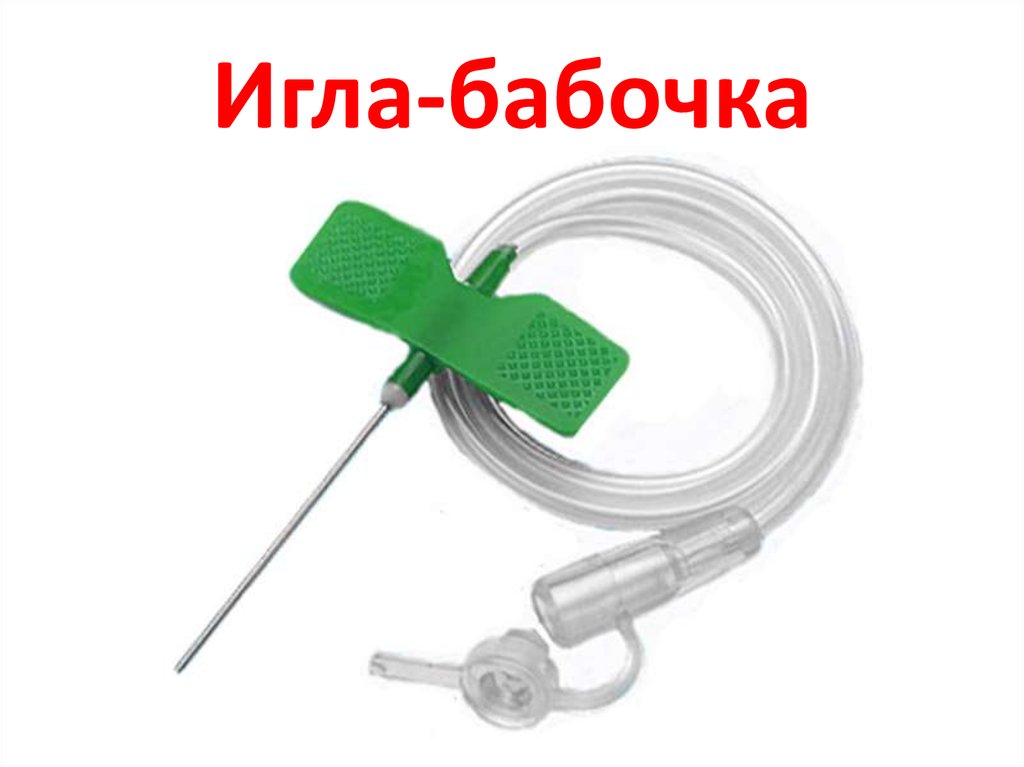 Игла-бабочка - online presentation