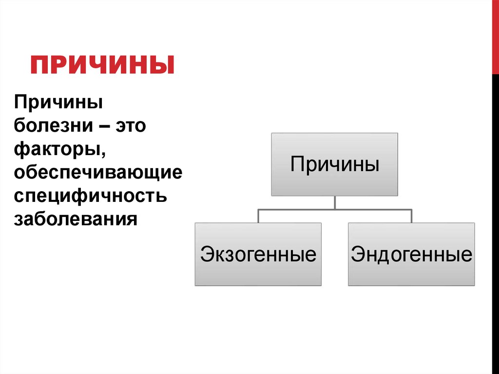Основы ветеринарии - презентация онлайн
