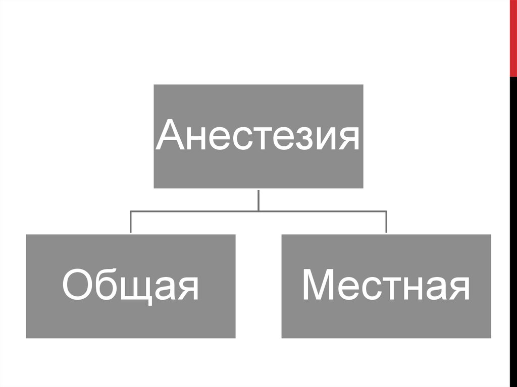 Основы ветеринарии - презентация онлайн