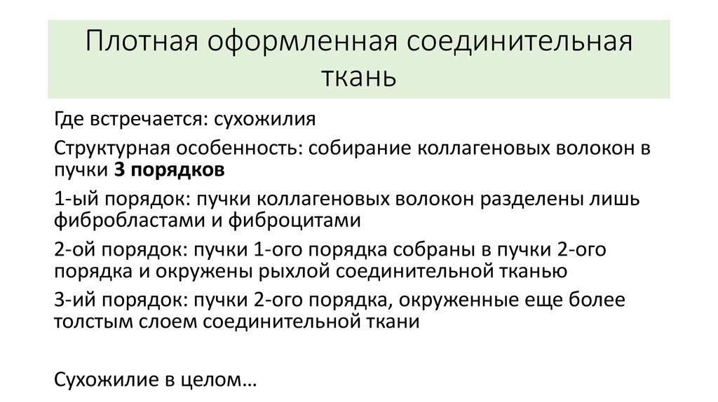 Соединительная ткань презентация онлайн