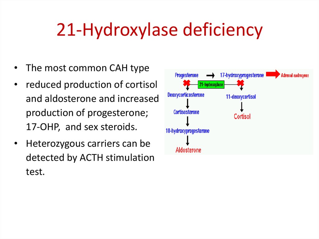 Congenital Adrenal Hyperplasia Online Presentation