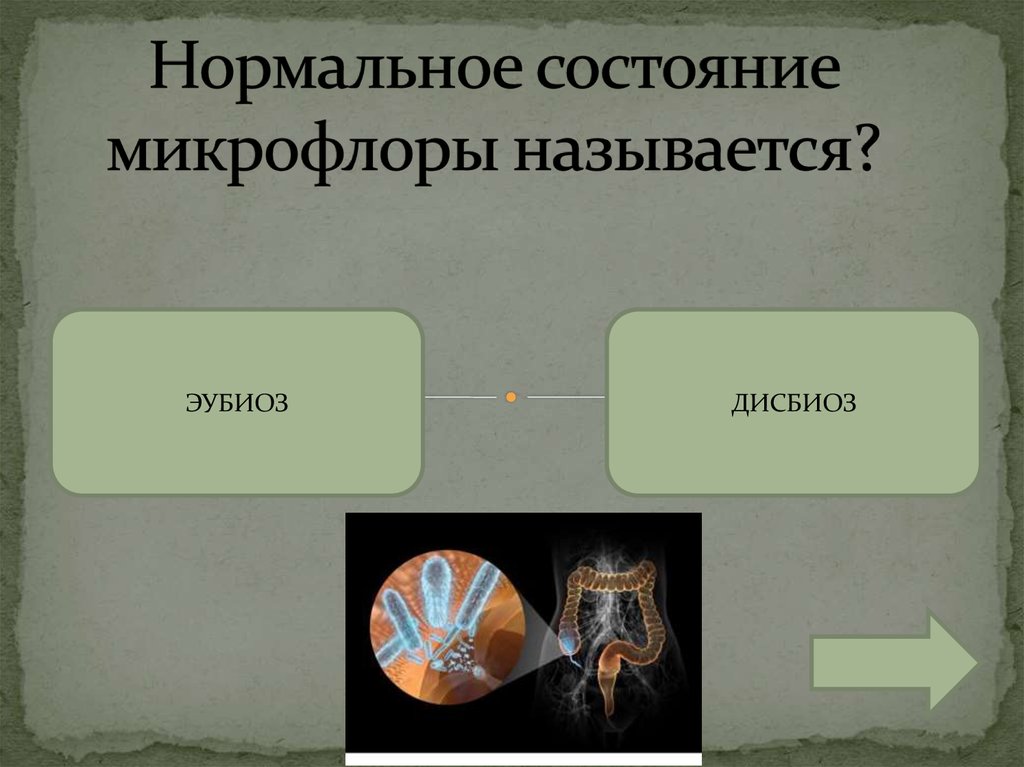 Тест на тему: Микрофлора тела человека, цели и способы антимикробных ...