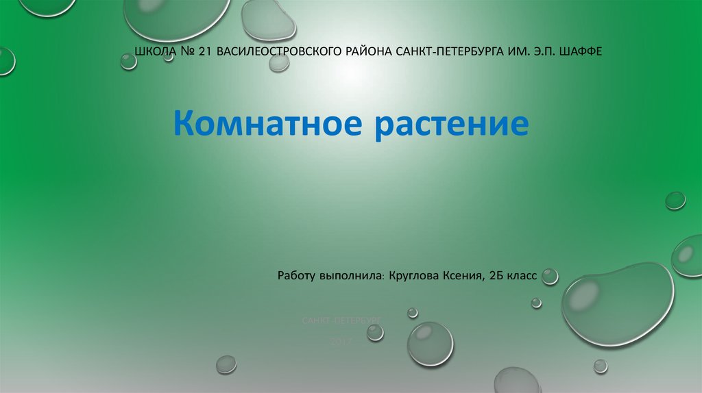 Комнатное растение презентация онлайн